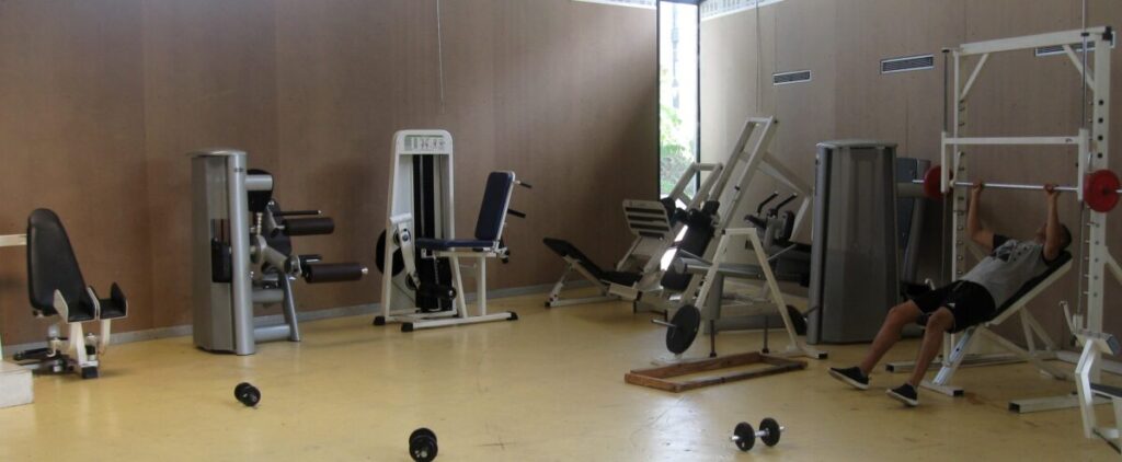 MUSCULATION AU BACCALAURÉAT – epsadoisneau